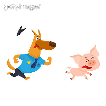 Funny shepherd dog character in blue police uniform chasing pig ...