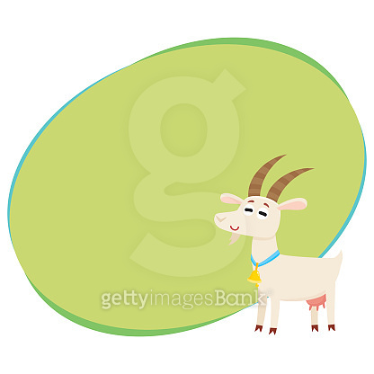 Farm goat with big eyes and horns, wearing bell 이미지 (674550540) - 게티이미지뱅크