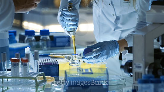 Female Research Scientist Uses Micropipette Filling Test Tubes ...