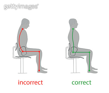 correct posture of the spine and pelvis position when sitting on a ...