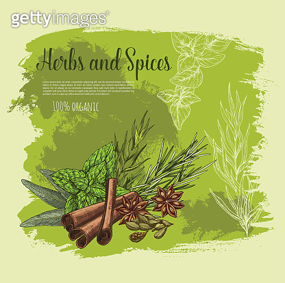 Vector poster of spices and herb seasonings 이미지 (826197214) - 게티이미지뱅크