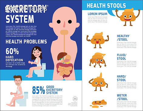 constipated infographic elements. excretory system. health care concept ...