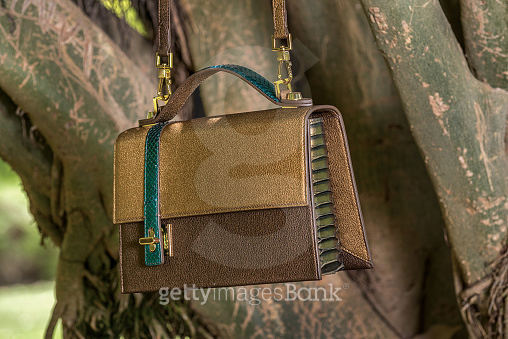 Women's leather bag made from genuine python leather. Female gold color ...