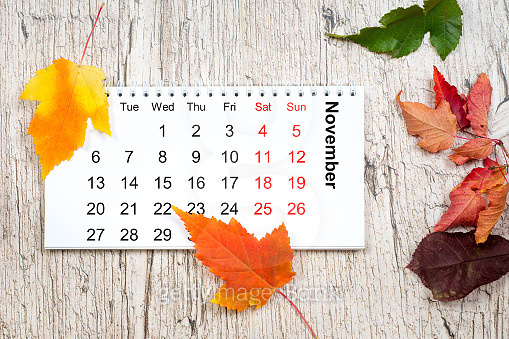 november paper calendar on wooden textured table with colorful autumn ...