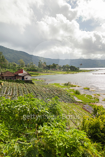 View on agricultural fields near Batur volcano, Kintamani. Winter rainy ...