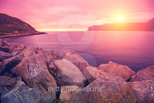 Fjord, rocky beach at pink rose sunset, nature Norway. Senja island ...