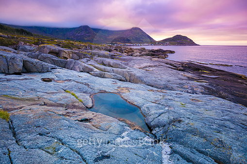 Fjord, rocky beach at magic pink blue sunset, wild nature Norway. Senja ...