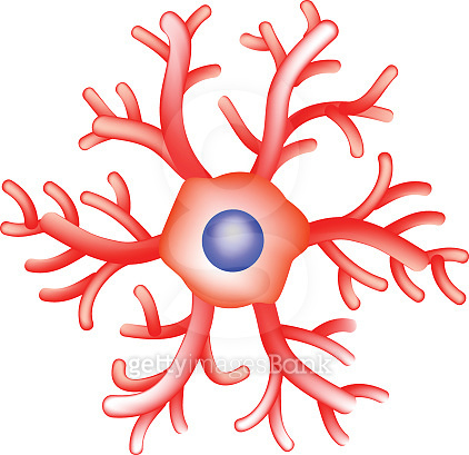 The structure of microglia. Neuron. Nerve cell. Infographics. Vector ...