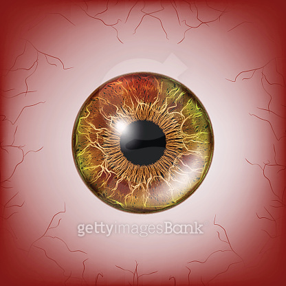 Red Eye. Scary Bloody Realistic Eyeballs. Spooky Human Eyeball With ...
