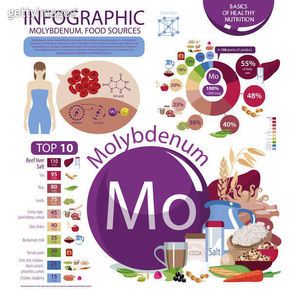 Molybdenum. Food sources 이미지 (884343562) - 게티이미지뱅크