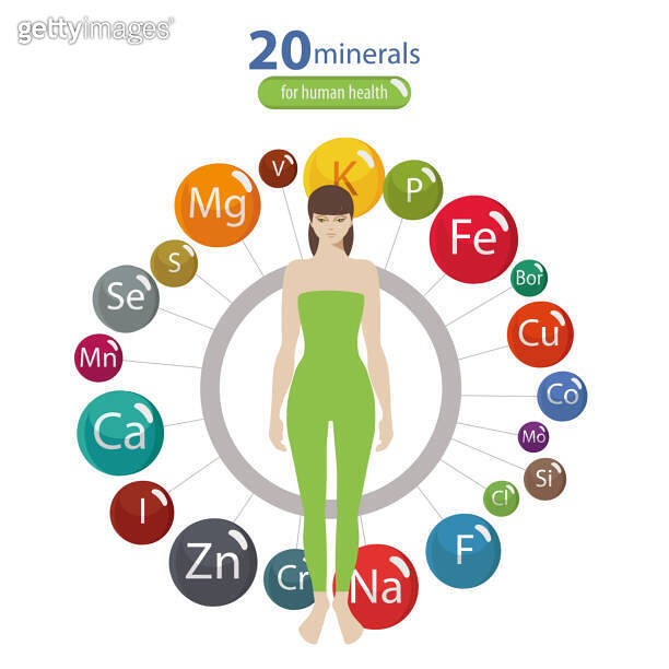 Human health and minerals 이미지 (884343586) - 게티이미지뱅크