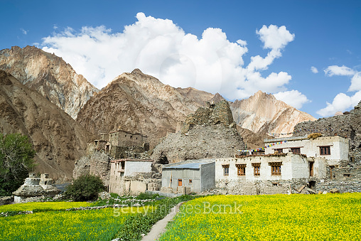 Sunlit traditional houses of Markha village and mustard plantations ...