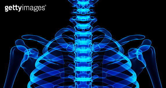 3D illustration of shiny blue skeleton system. (826324318) - 게티이미지뱅크