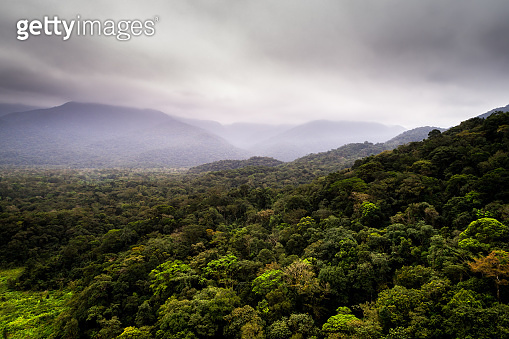 Forest Landscape and Mountains in a Cloudy day in Brazil 이미지 (854515722 ...