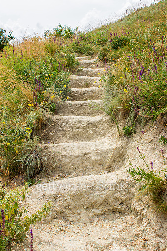 The ladder from the earth.Stairs in the field.Wild field. Close-up ...