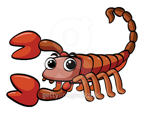 Scorpion with happy face 이미지 (821727648) - 게티이미지뱅크