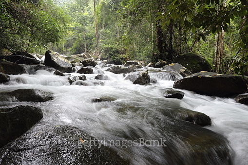 Khao Cha Mao Waterfall in Rayong Thailand (640057558) - 게티이미지뱅크