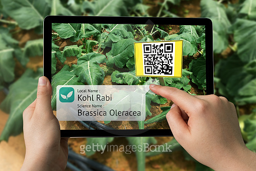 Smart agriculture, farm , industry 4.0 , Augmented reality concept ...