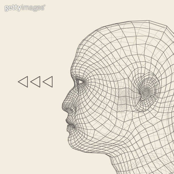 Head of the Person from a 3d Grid. Human Head Wire Model. Human Polygon ...