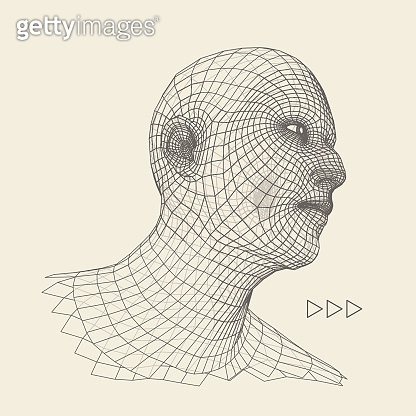 Head of the Person from a 3d Grid. Human Head Wire Model. Human Polygon ...