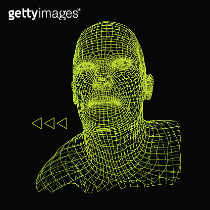 Head of the Person from a 3d Grid. Human Head Wire Model. Human Polygon ...