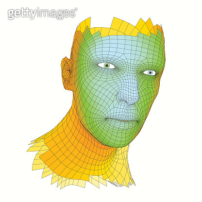 Head of the Person from a 3d Grid. Human Head Wire Model. Human Polygon ...