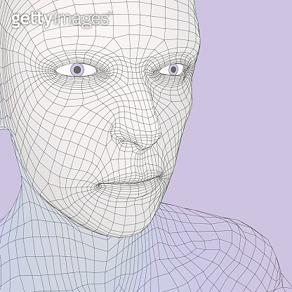Head of the Person from a 3d Grid. Human Head Wire Model. Human Polygon ...