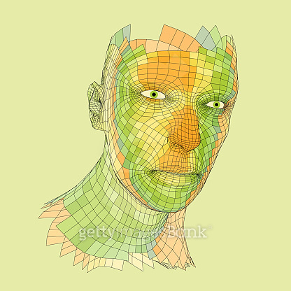 Head of the Person from a 3d Grid. Human Head Wire Model. Human Polygon ...