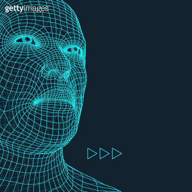 Head of the Person from a 3d Grid. Human Head Wire Model. Human Polygon ...
