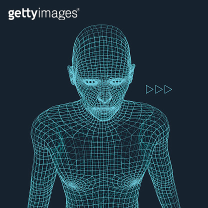 Head of the Person from a 3d Grid. Human Head Wire Model. Human Polygon ...