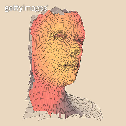 Head of the Person from a 3d Grid. Human Head Wire Model. Human Polygon ...
