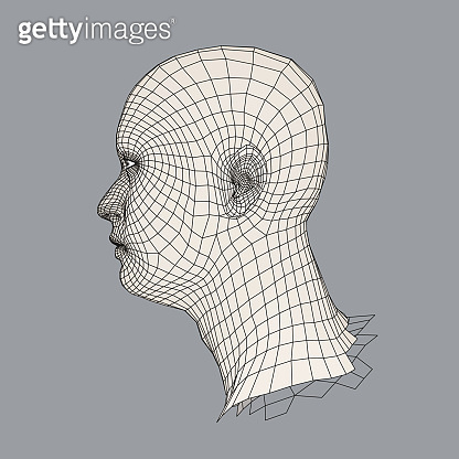 Head of the Person from a 3d Grid. Human Head Wire Model. Human Polygon ...