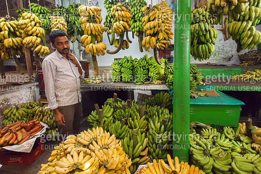 Banana trader selling green and yellow fruits on farmers market 이미지 ...