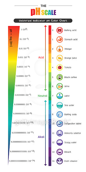 The pH scale Universal Indicator pH Color Chart diagram 이미지 (813656922 ...