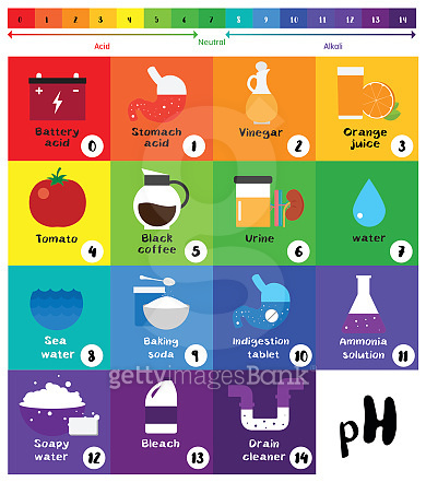 The pH scale Universal Indicator pH Color Chart diagram 이미지 (813656644 ...