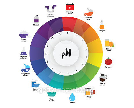 The pH scale Universal Indicator pH Color Chart diagram (813656050 ...