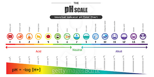 The pH scale Universal Indicator pH Color Chart diagram (813656028 ...