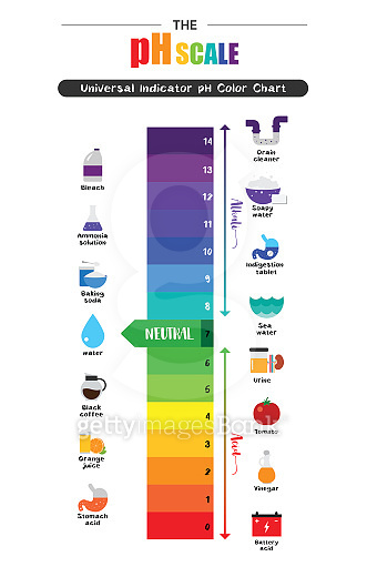 The pH scale Universal Indicator pH Color Chart diagram (813656014 ...