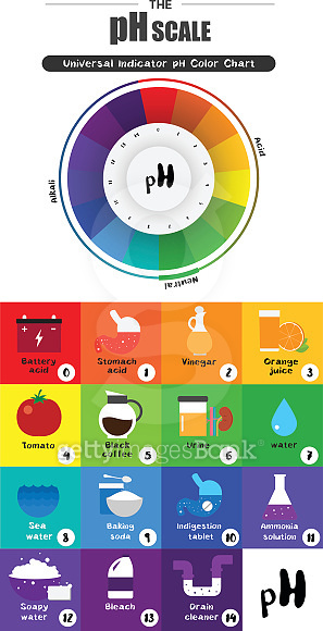 The pH scale Universal Indicator pH Color Chart diagram 이미지 (813656002 ...