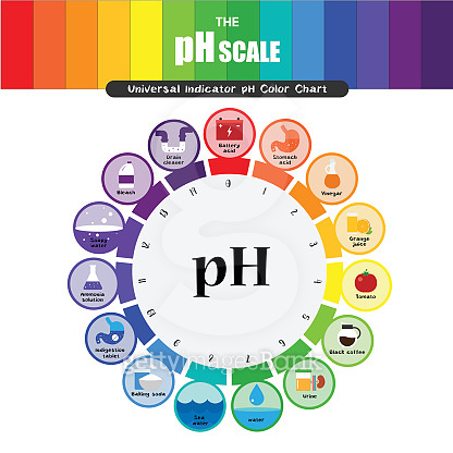 The pH scale Universal Indicator pH Color Chart diagram (813655980 ...