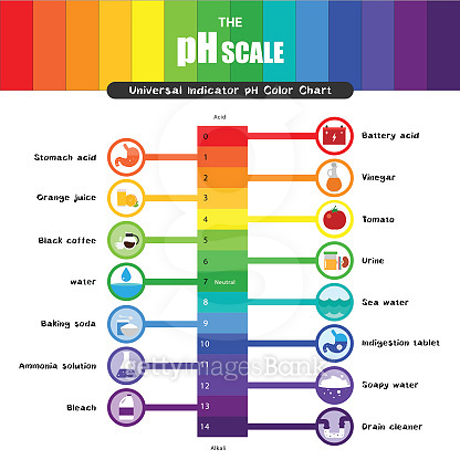 The pH scale Universal Indicator pH Color Chart diagram (813655976 ...