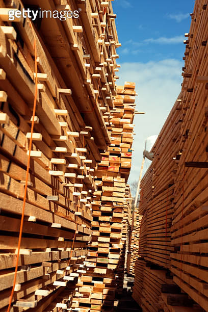 Lumber Yard 이미지 (828097328) - 게티이미지뱅크