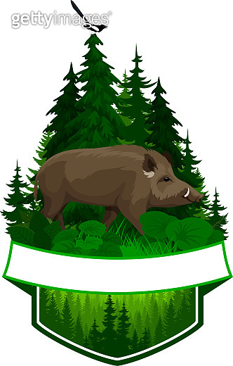 vector woodland emblem with wild hog boar and magpie 이미지 (876755994 ...