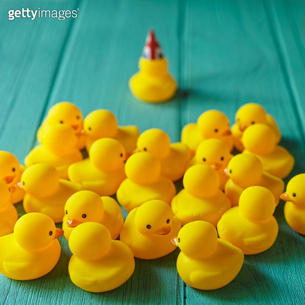 Rubber ducks sitting talking in a group whilst a single duck with a ...