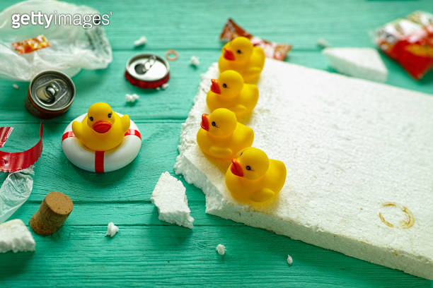Yellow rubber duck on a life saving inflatable rubber ring whilst ...