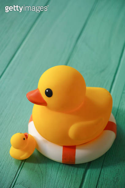 One large yellow rubber duck on a safety inflatable life ring looking ...
