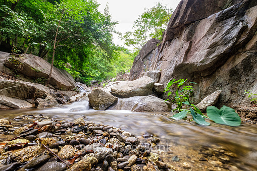 Huai yang waterfall tropical rainforest in national park 이미지 (688832226 ...