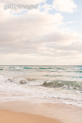 Teal Beach Waves on Palm Beach 이미지 (874899418) - 게티이미지뱅크
