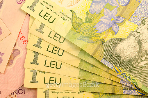 Close up Romanian currency note, LEI or LEU, Romania (692564486) - 게티이미지뱅크