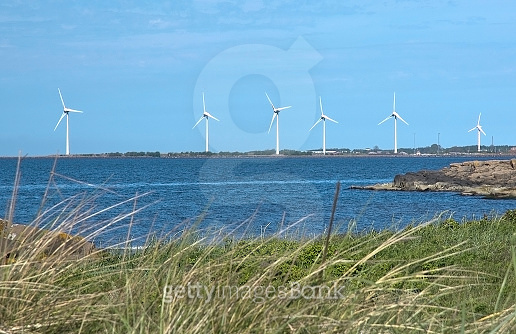 Seaside wind power turbines, blue ocean and green grass on a heath ...